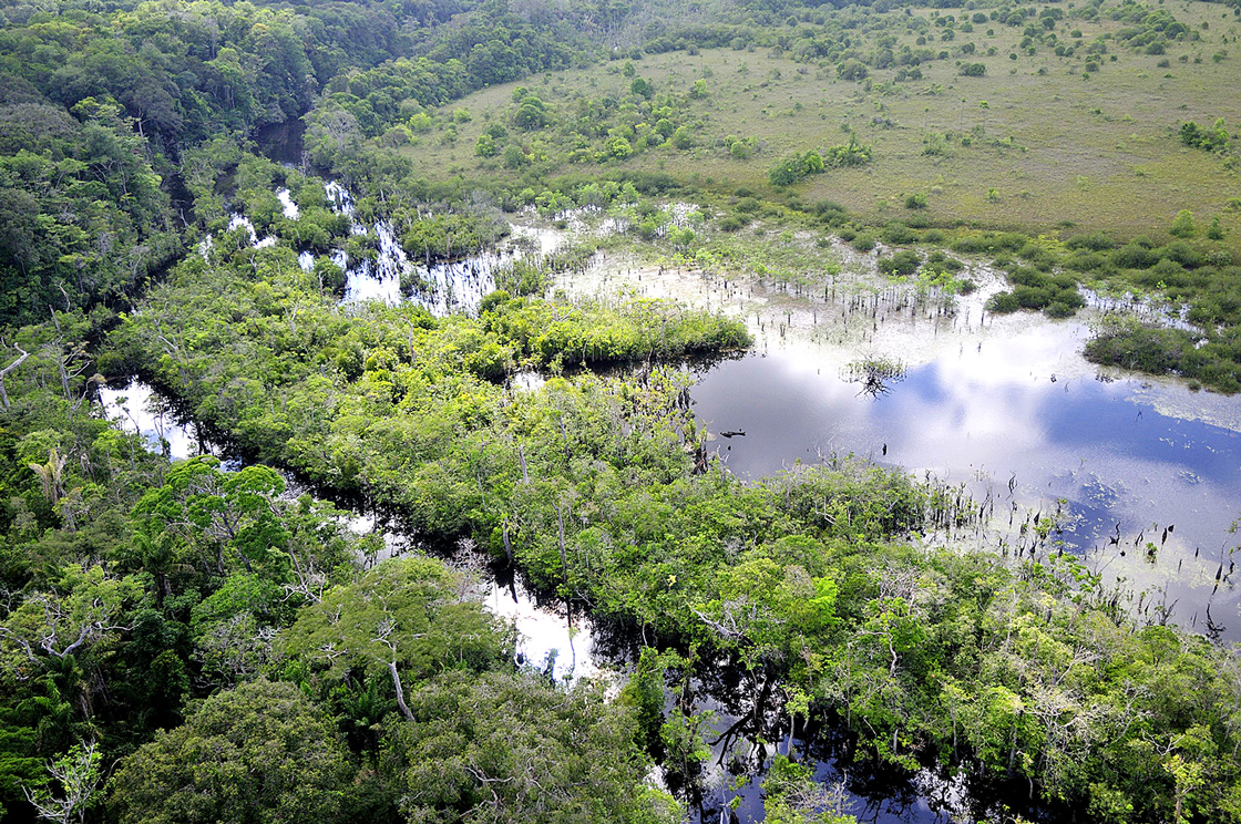 Paysage | Savanes de Guyane
